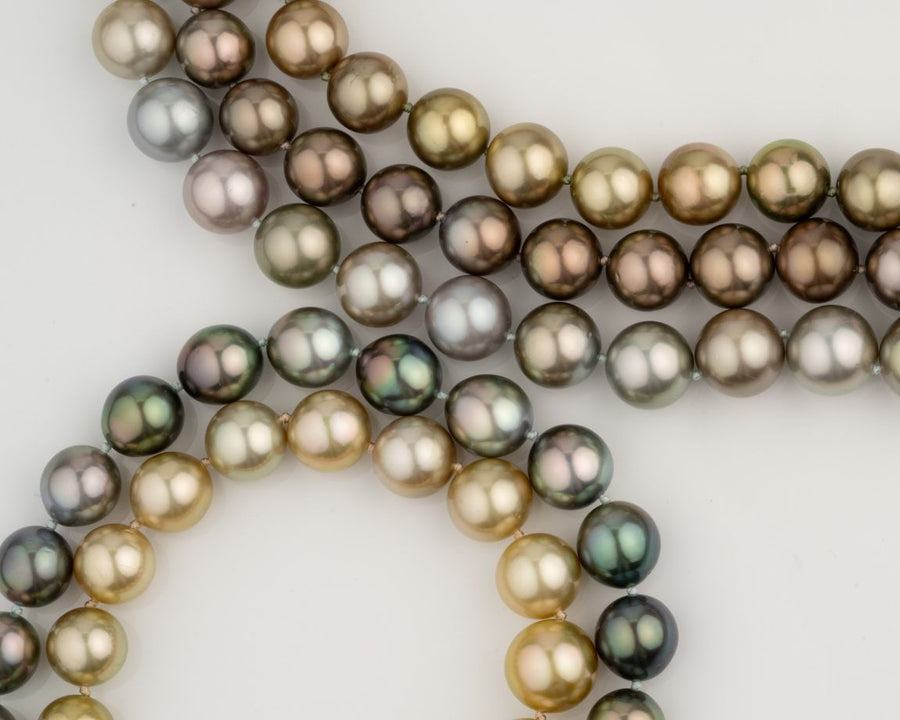 Pearl Paradise | Fine Pearl Jewelry, Livestreams & Virtual Appointment