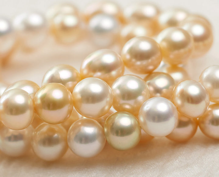 Golden South Sea Pearl Information – Pearl Paradise