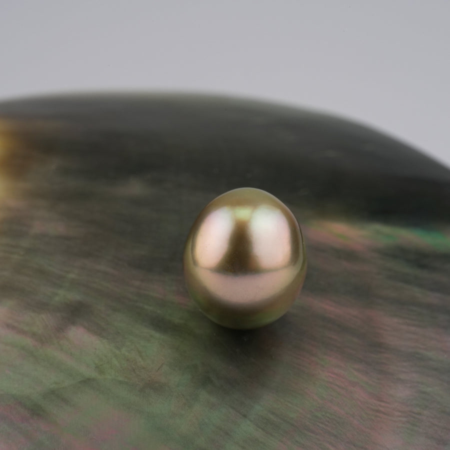Loose Pearls | Tahitian Akoya South Sea | Pearl Paradise