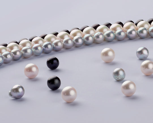 Learn about Akoya Pearls from the Experts at Pearl Paradise