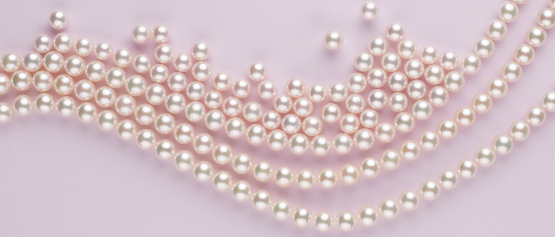 Pearl Education from the Experts at Pearl Paradise