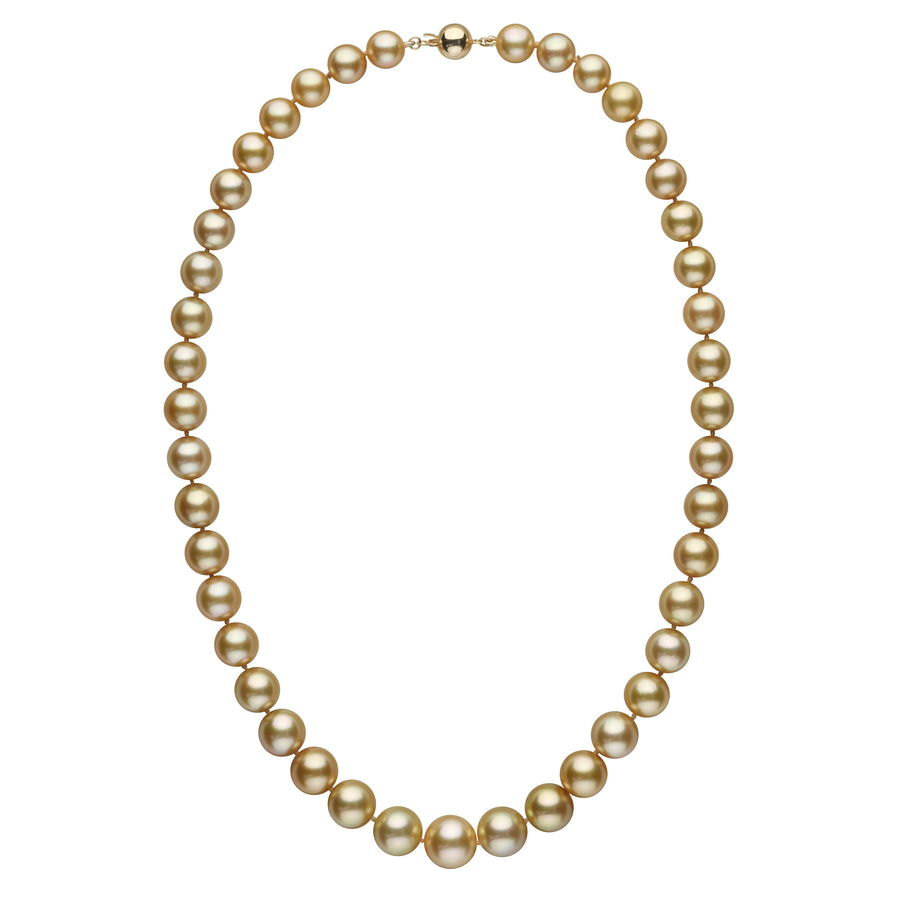 Golden Pearls | Gold South Sea | Pearl Paradise